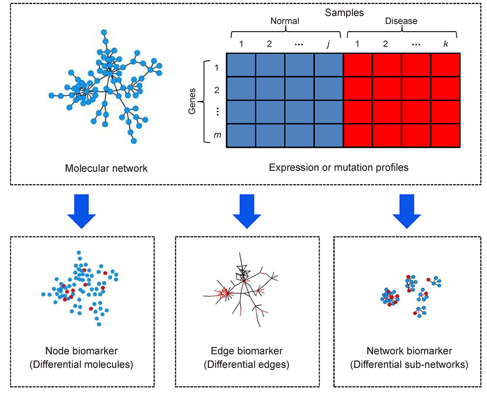 A survey on biomarker identification based on molecular networks ...