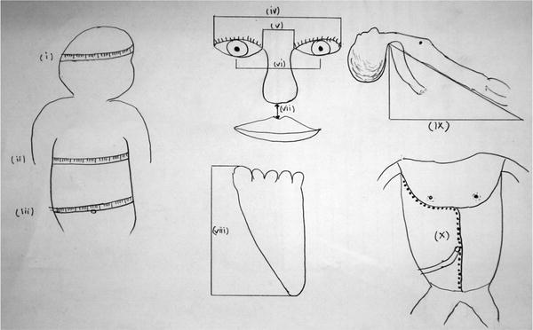 Performing a Perinatal Autopsy | SpringerLink