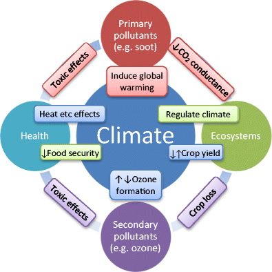 The Interplay of Climate Change and Air Pollution on Health | SpringerLink