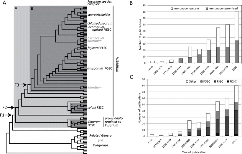 Taxonomy and Clinical Spectra of Fusarium Species: Where Do We Stand in ...