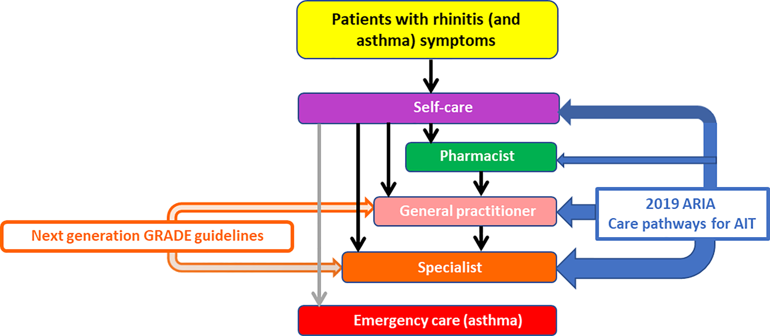 ARIA guideline 2019: treatment of allergic rhinitis in the German ...