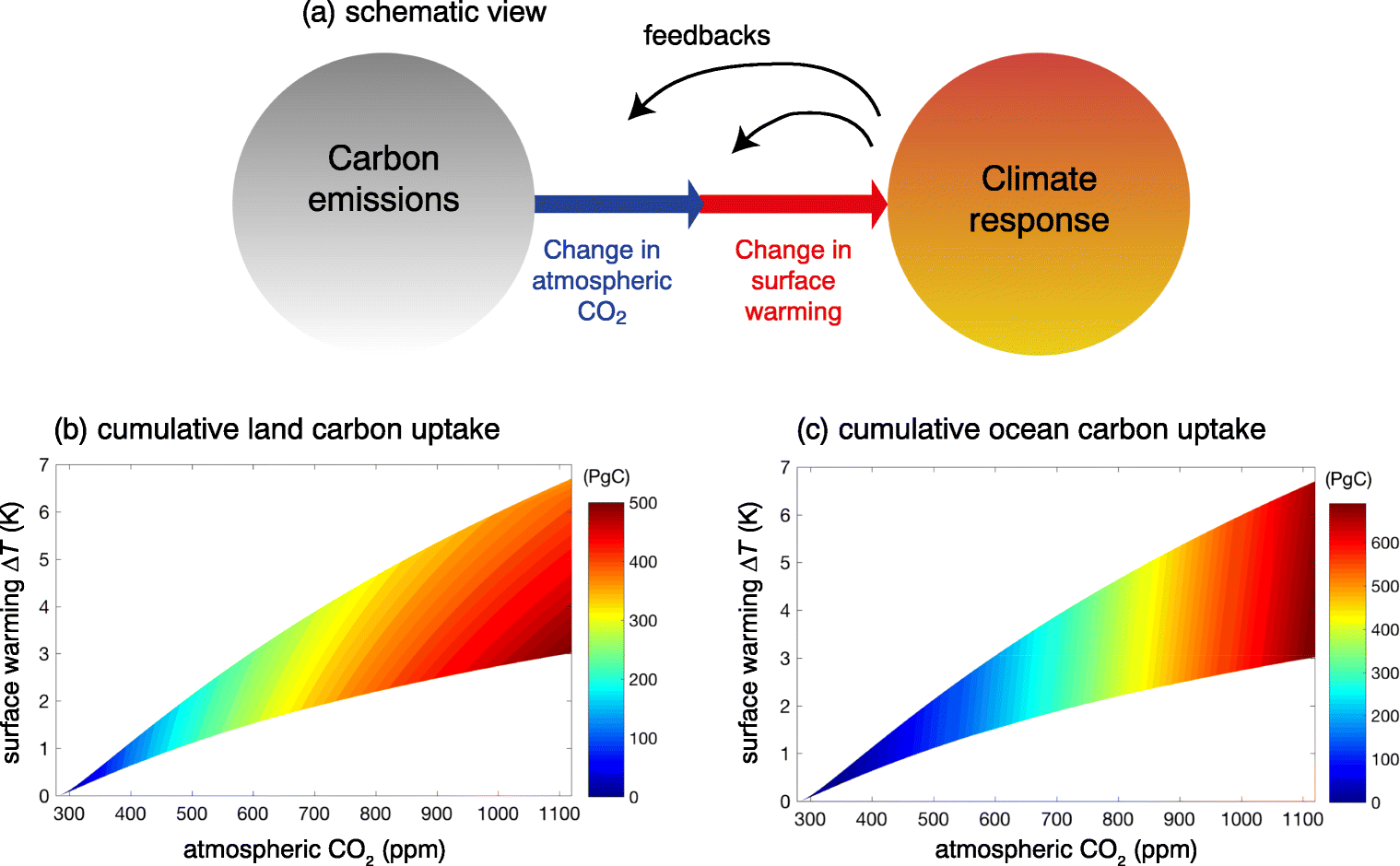 Carbon-Cycle Feedbacks Operating in the Climate System | SpringerLink