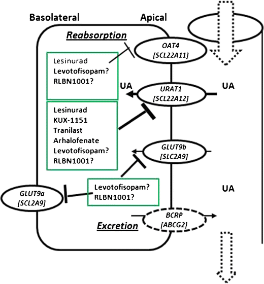 Current and Emerging Therapies for Gout | SpringerLink