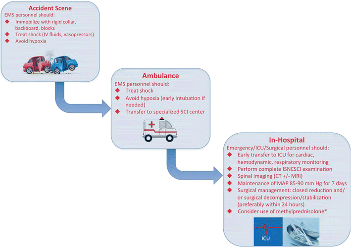 Diagnosis and Acute Management of Spinal Cord Injury: Current Best ...