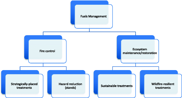 Theory and Practice of Wildland Fuels Management | SpringerLink