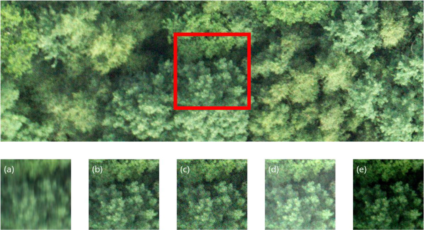 Structure from Motion Photogrammetry in Forestry: a Review | SpringerLink