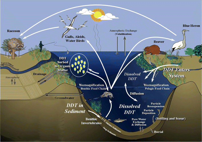 Remediation of DDT and Its Metabolites in Contaminated Sediment ...