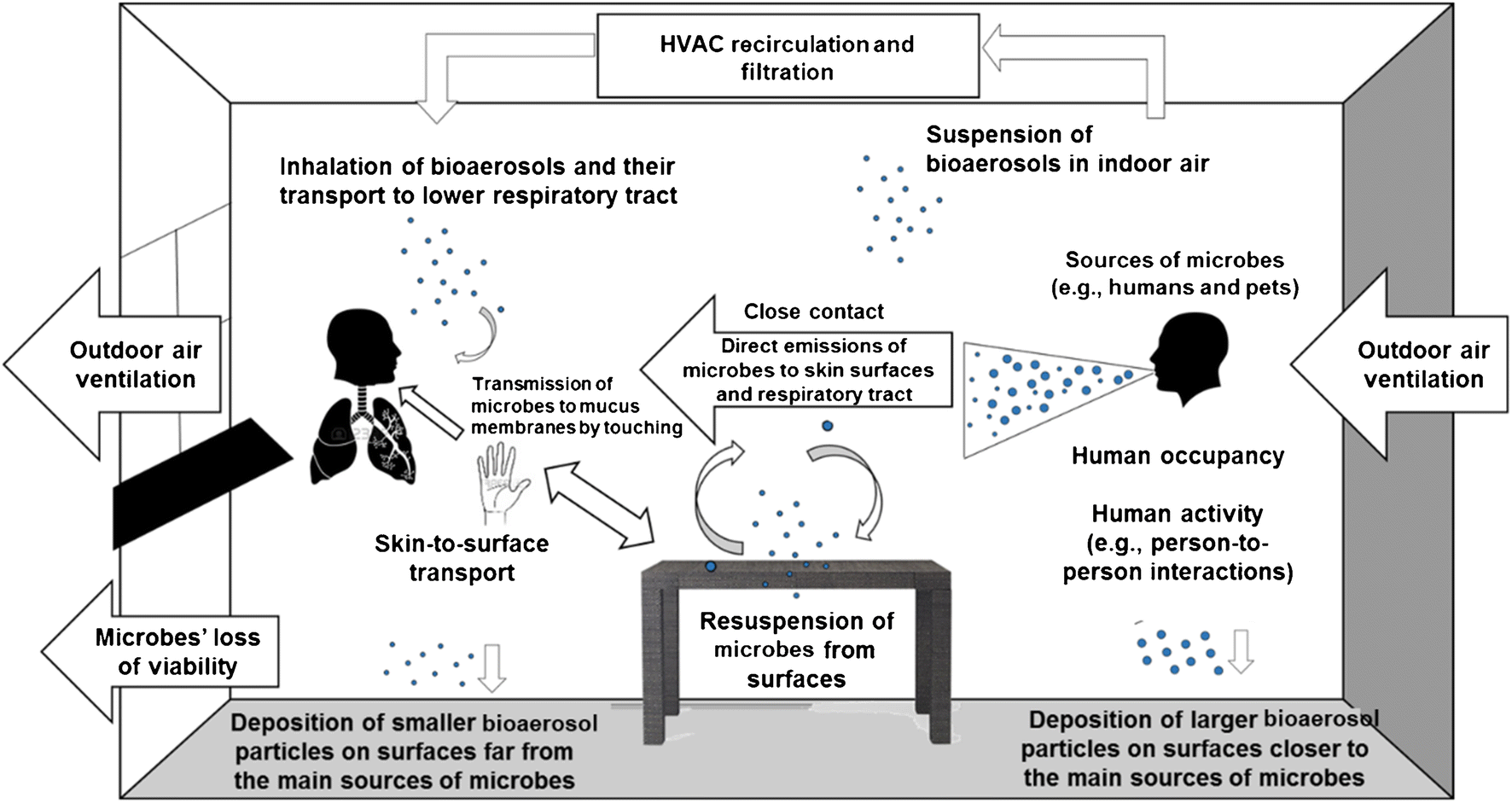 Microbial Exchange via Fomites and Implications for Human Health ...