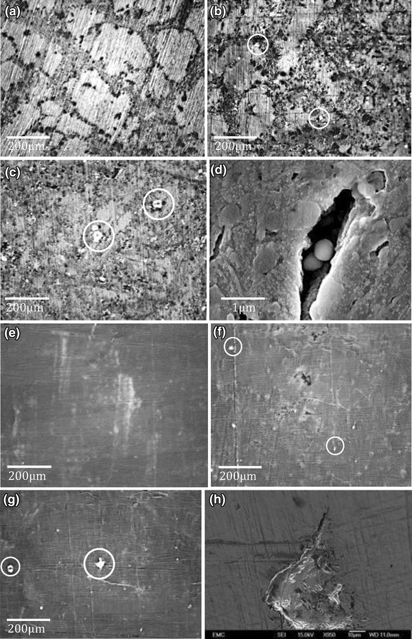 The Synergistic Effects of Cavitation Erosion–Corrosion in Ship ...