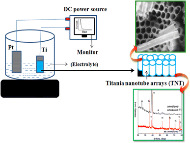 A Review on TiO2 Nanotubes: Influence of Anodization Parameters ...