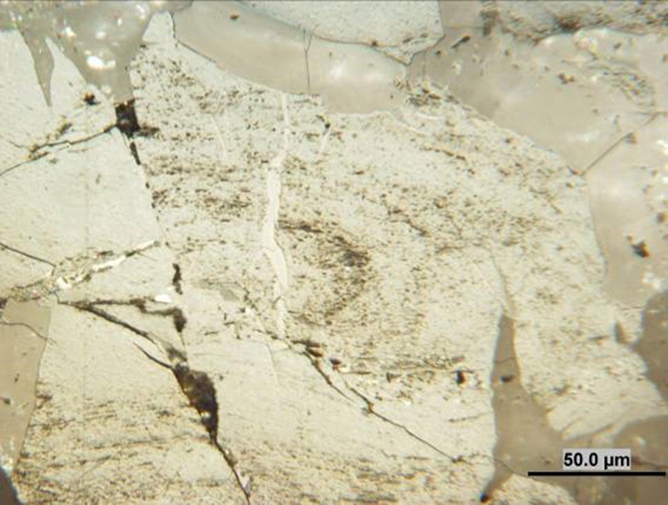 Coalification and coal alteration under mild thermal conditions ...