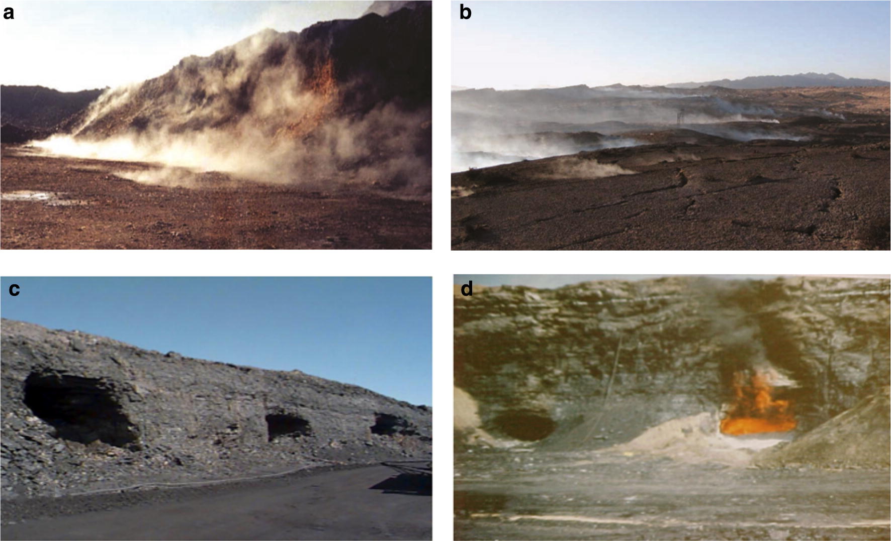 Spontaneous combustion liability of coal and coal-shale: a review of ...