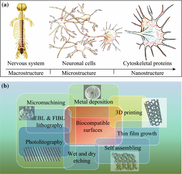 Fabrication and Applications of Micro/Nanostructured Devices for Tissue ...