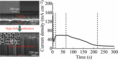 Fast Growth of Highly Ordered TiO2 Nanotube Arrays on Si Substrate under High-Field Anodization ...