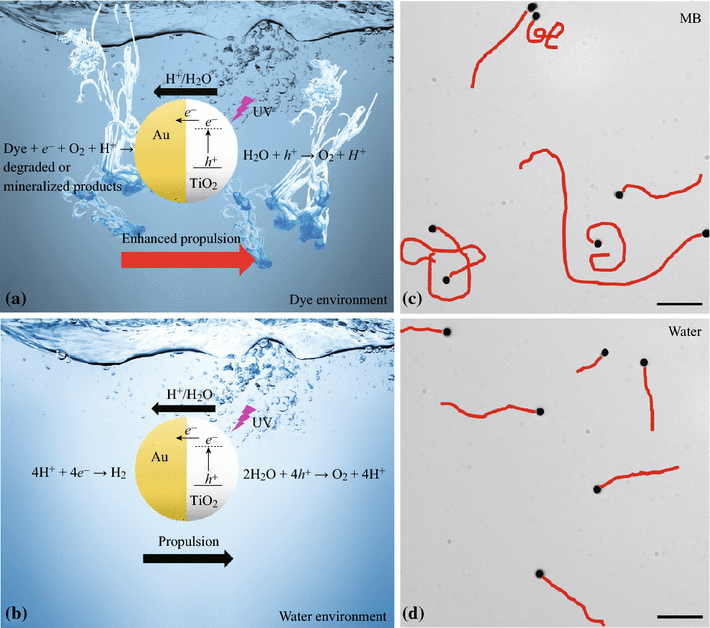Dye-Enhanced Self-Electrophoretic Propulsion of Light-Driven TiO2–Au ...
