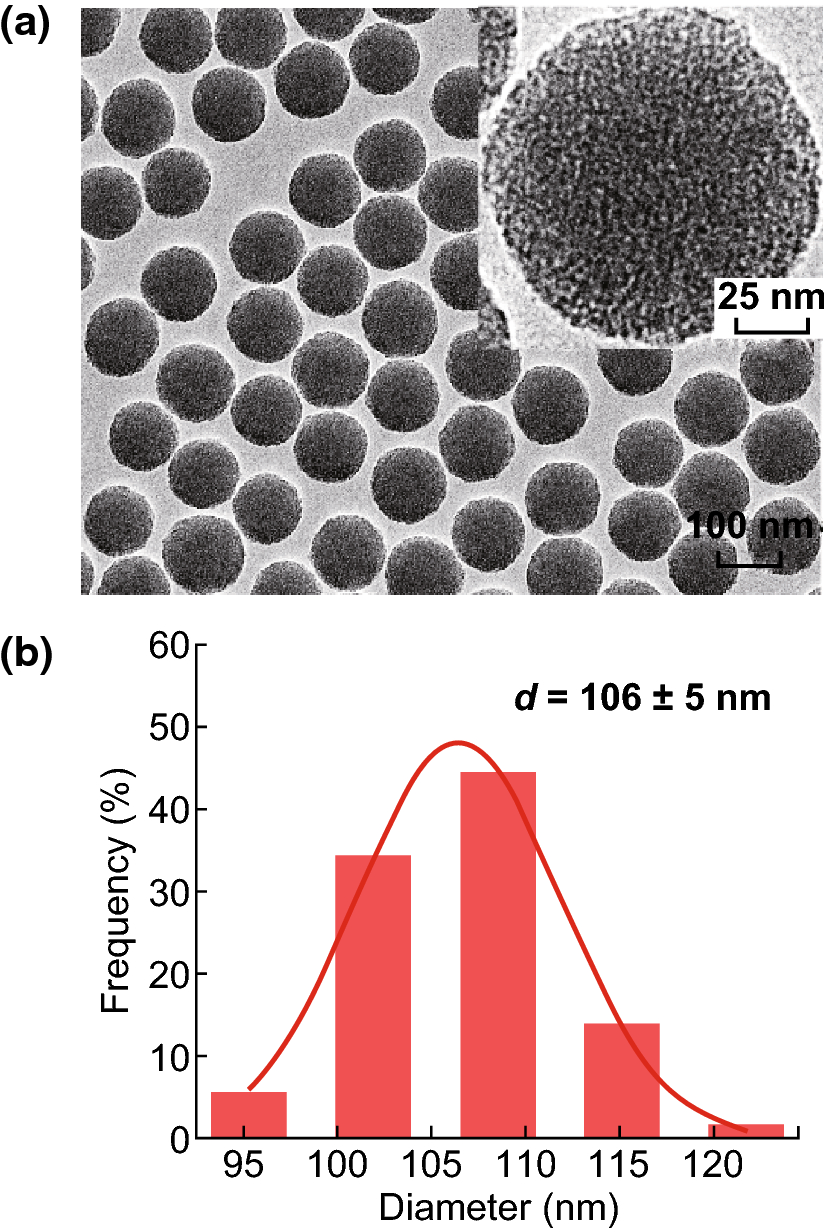 Mesoporous SiO2 Nanoparticles: A Unique Platform Enabling Sensitive Detection of Rare Earth Ions ...