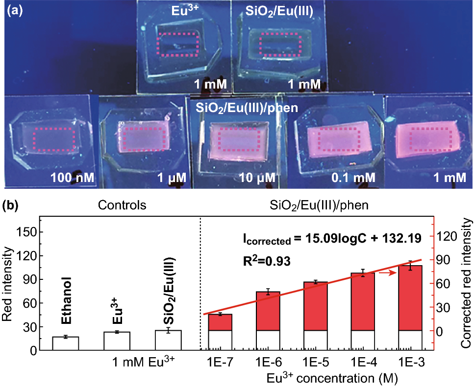 Mesoporous SiO2 Nanoparticles: A Unique Platform Enabling Sensitive ...