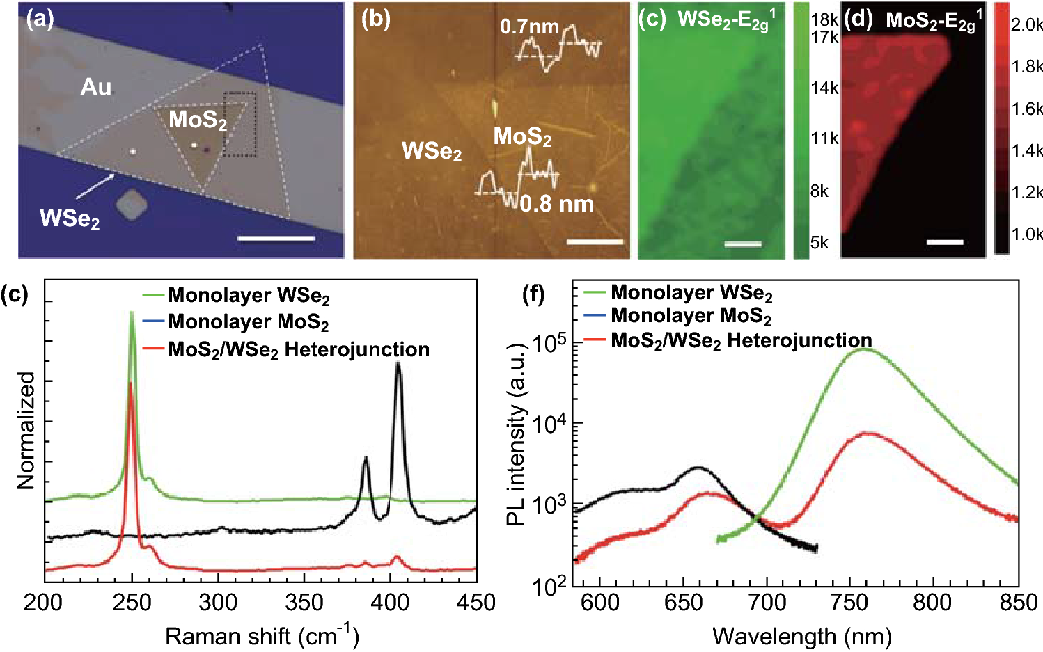 Enhanced Performance of a Monolayer MoS2/WSe2 Heterojunction as a ...