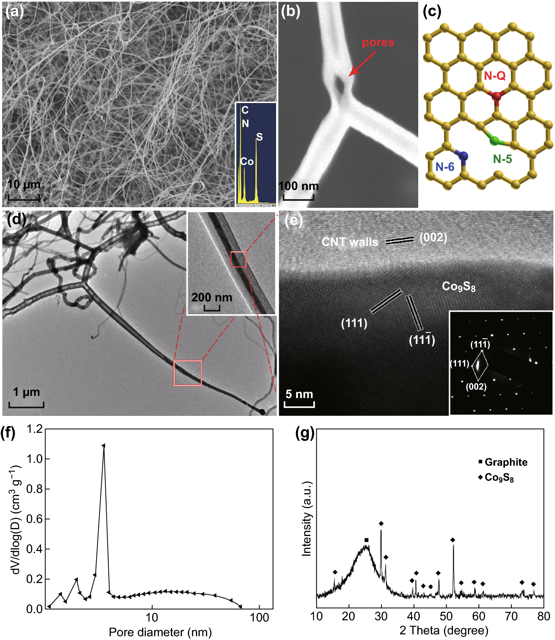 Cobalt Sulfide Confined in N-Doped Porous Branched Carbon Nanotubes for ...