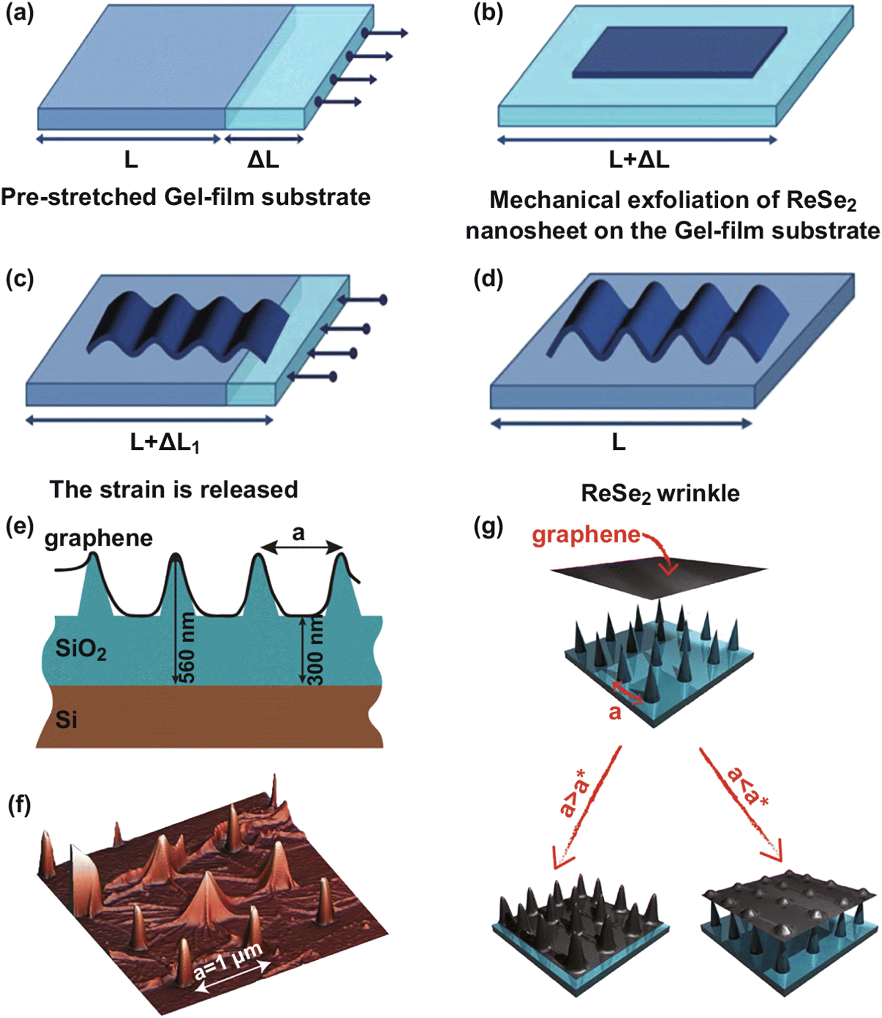 Recent Advances in 2D Lateral Heterostructures | SpringerLink