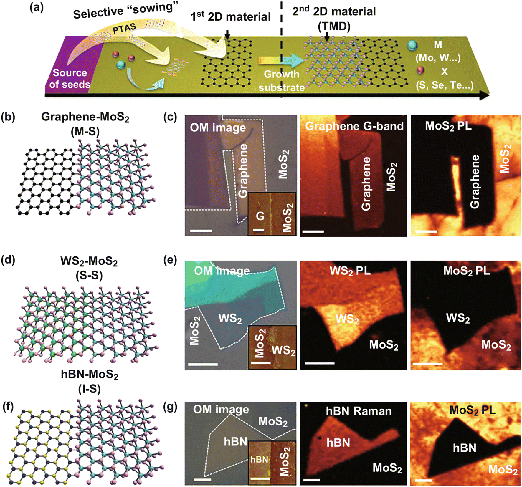 Recent Advances in 2D Lateral Heterostructures | SpringerLink