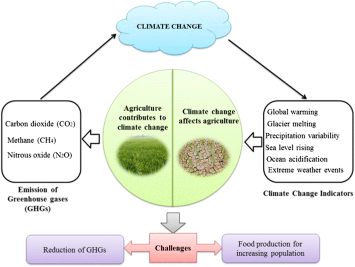 Traditional agriculture: a climate-smart approach for sustainable food ...