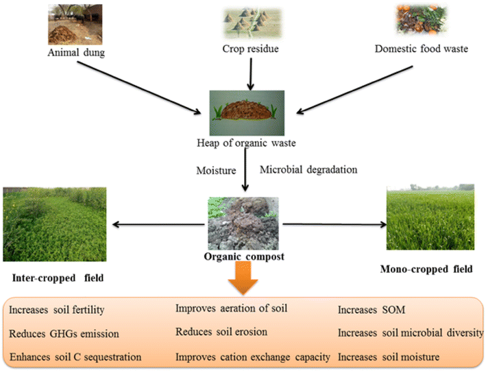 Traditional agriculture: a climate-smart approach for sustainable food ...