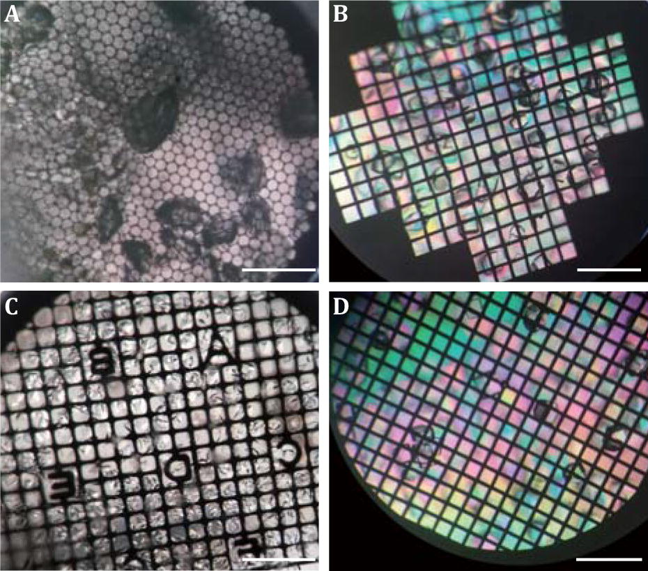 In situ protein micro-crystal fabrication by cryo-FIB for electron ...