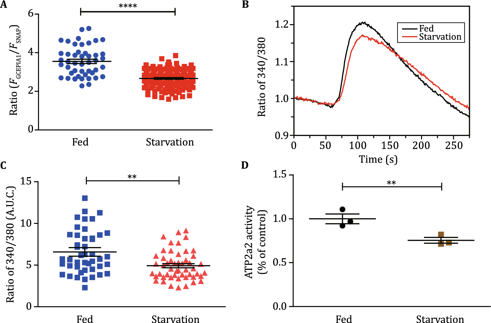 A genetically encoded ratiometric calcium sensor enables quantitative ...