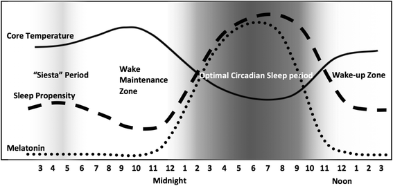 Circadian rhythms and insomnia | SpringerLink