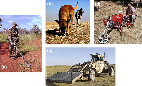 Novel Imaging Radar Technology for Detection of Landmines and Other ...