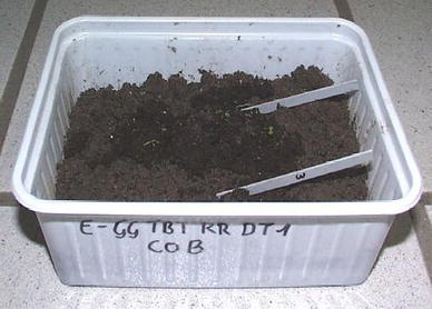 The bait-lamina earthworm test: a possible addition to the chronic ...
