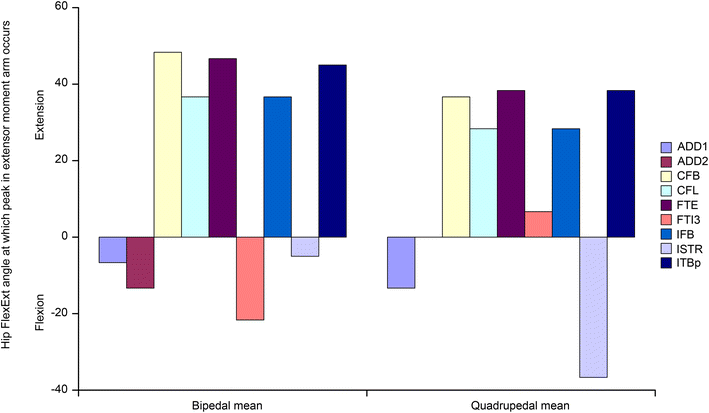 The evolution of ornithischian quadrupedality | SpringerLink