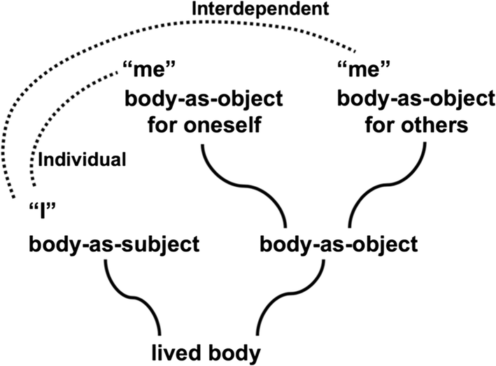 Bodily Basis of the Diverse Modes of the Self | SpringerLink