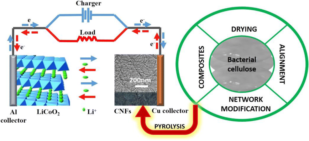 Bacterial cellulose-derived carbon nanofibers as anode for lithium-ion ...