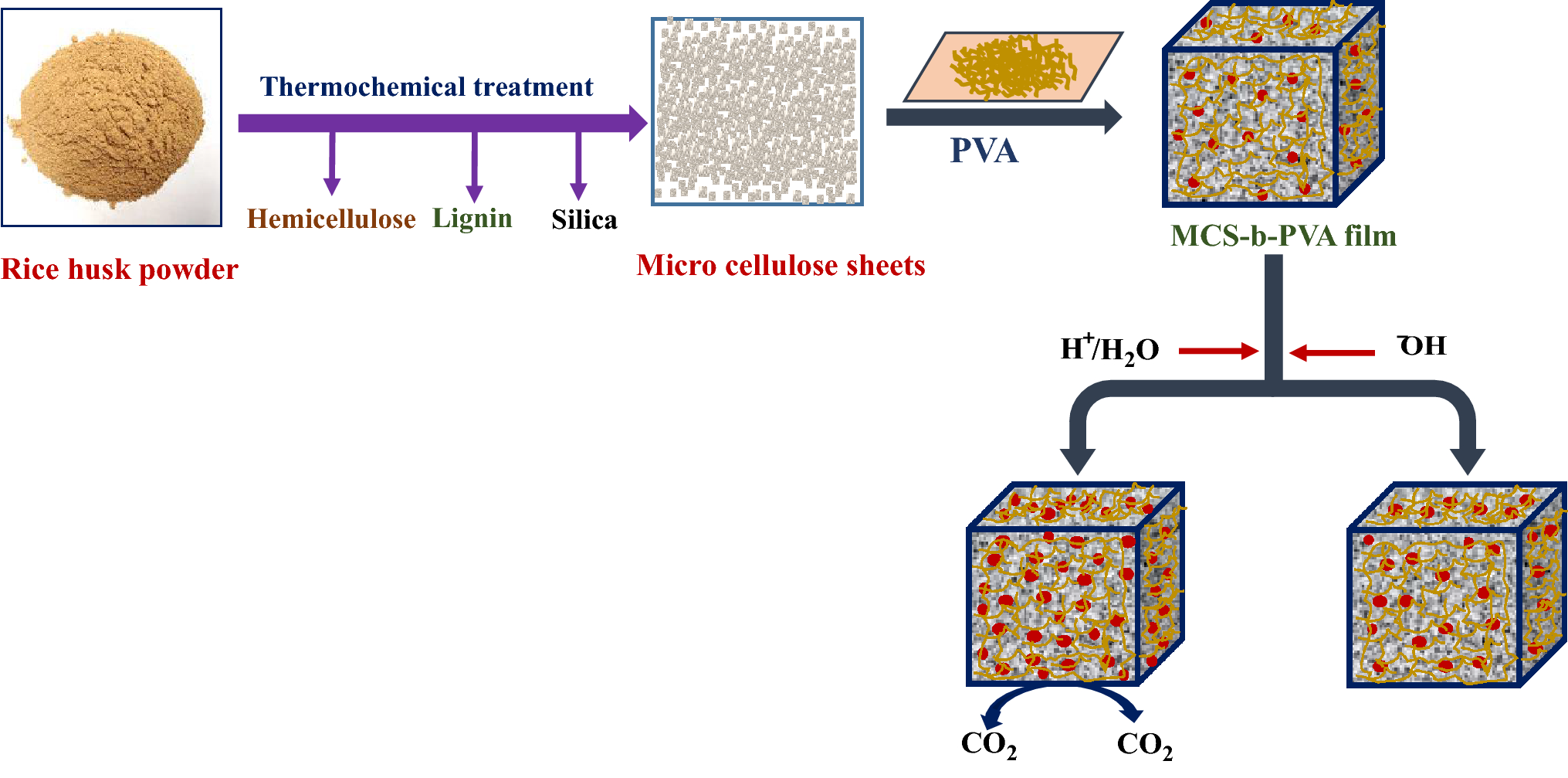 Micro-cellulose Sheet and Polyvinyl Alcohol Blended Film for Active ...