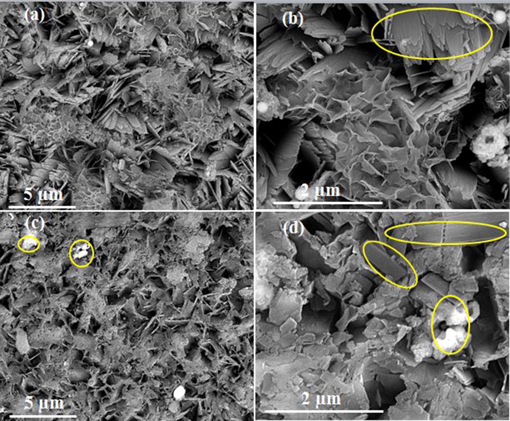 Synthesizing and comparing HA–TiO2 and HA–ZrO2 nanocomposite coatings ...