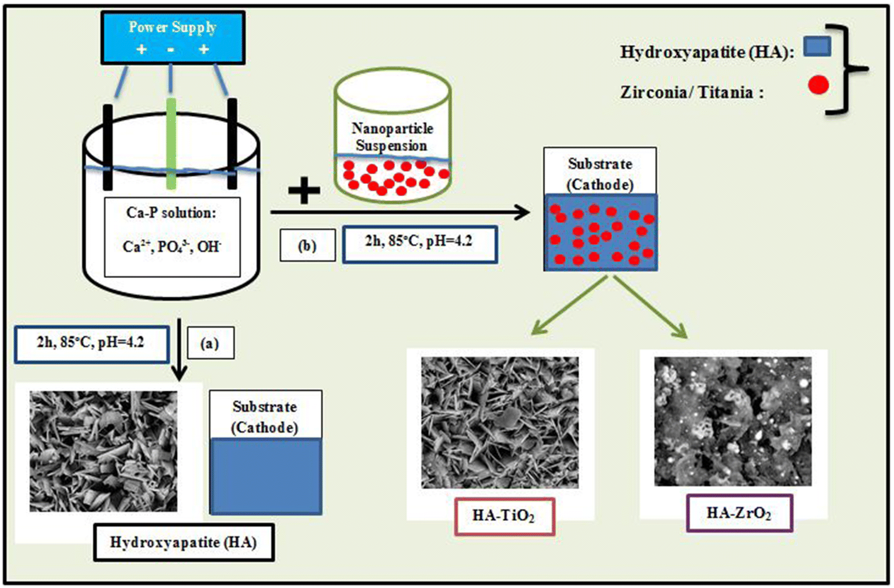 Synthesizing and comparing HA–TiO2 and HA–ZrO2 nanocomposite coatings ...