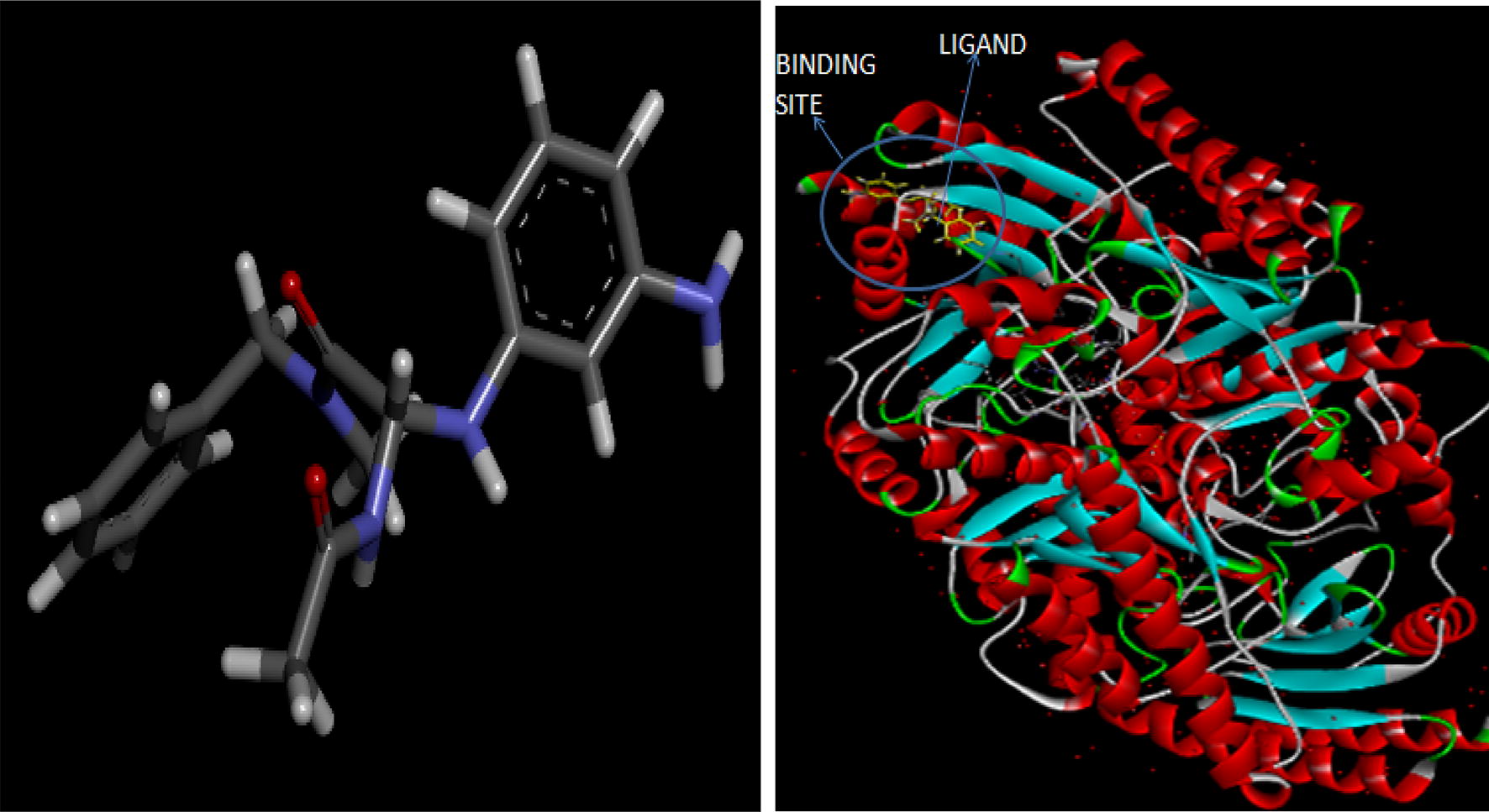 Molecular design and docking analysis of the inhibitory activities of ...