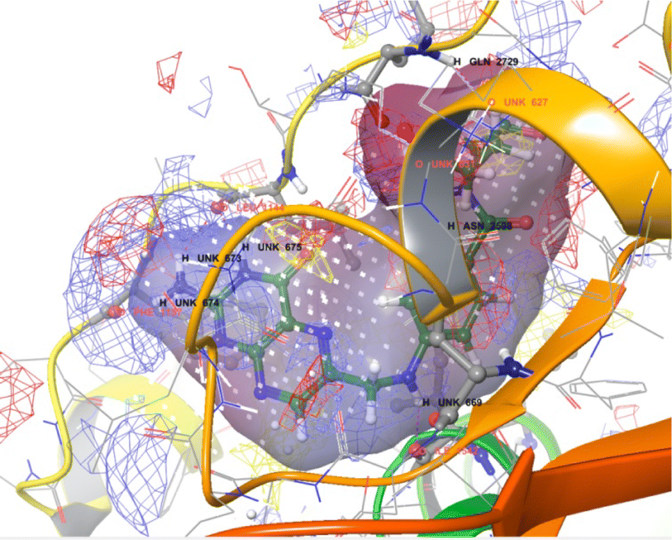 Structural dynamics and modeling of curcin protein: docking against ...