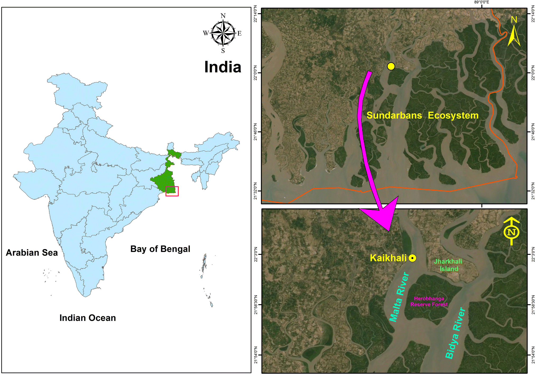Tidal and non-tidal components of water level and currents in the ...