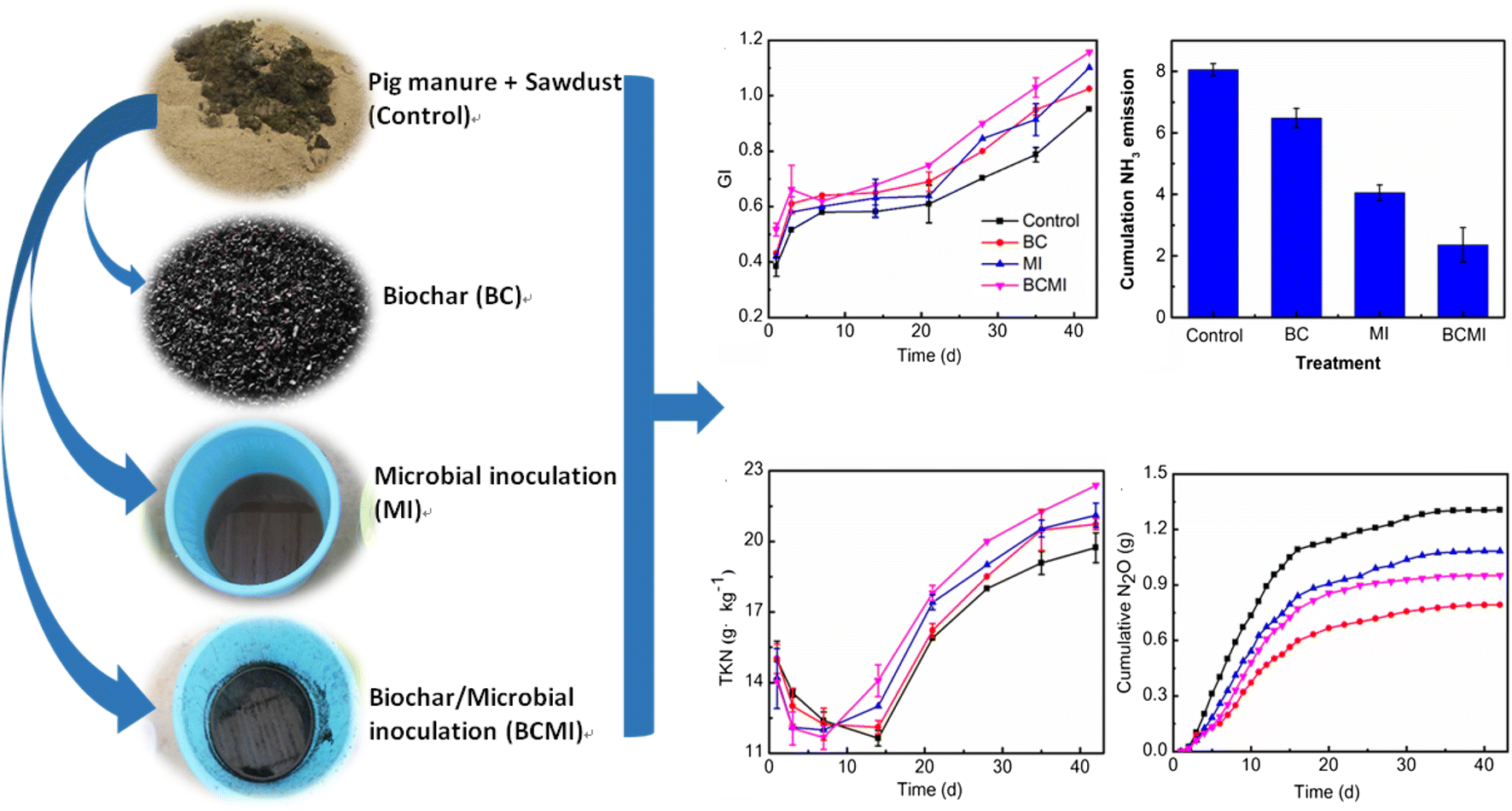 Synergistic effects of biochar/microbial inoculation on the enhancement ...