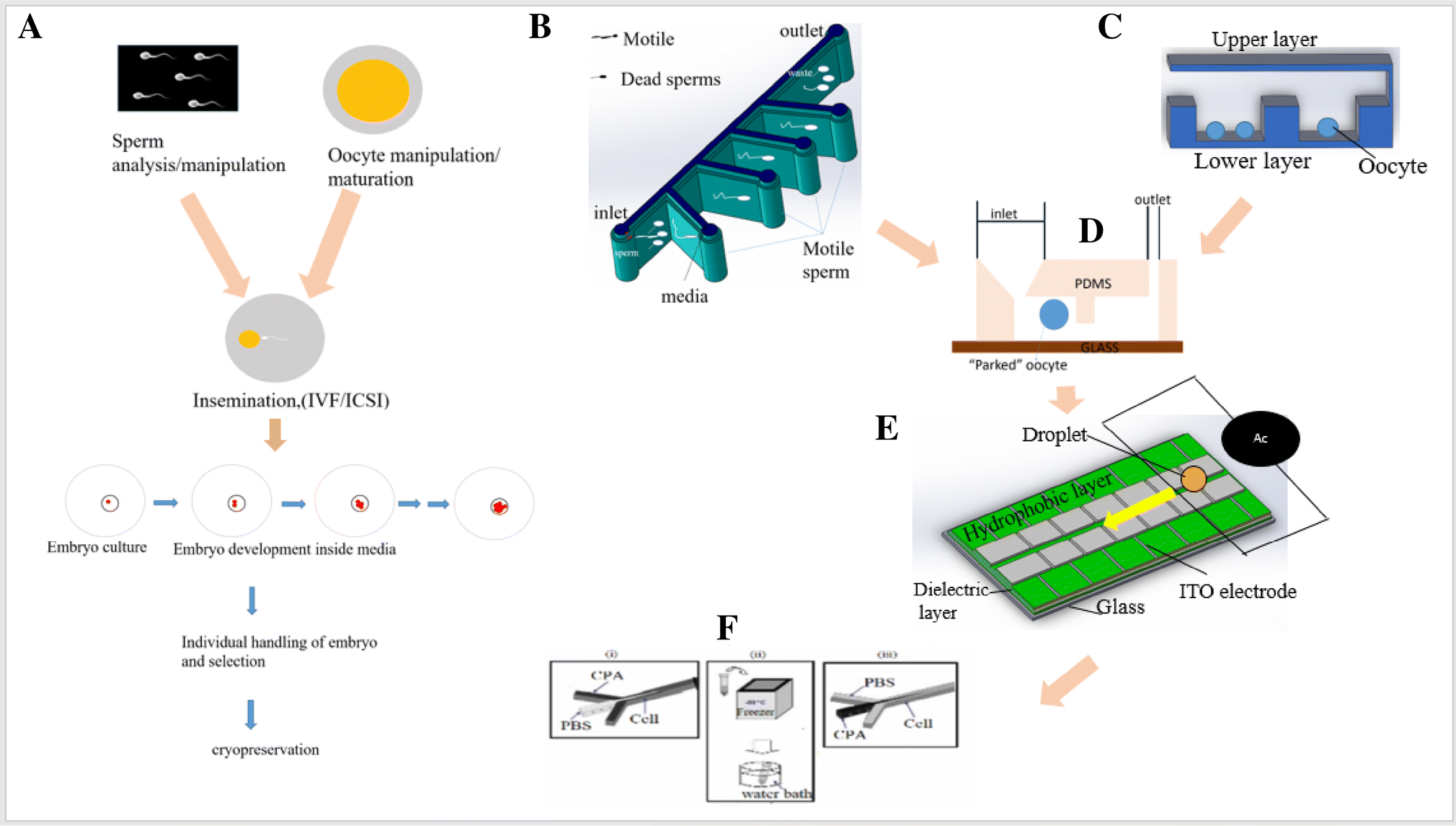 Microfluidic technology for in vitro fertilization (IVF) | SpringerLink