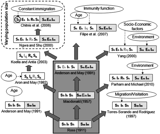Sensitivity to model structure: a comparison of compartmental models in ...