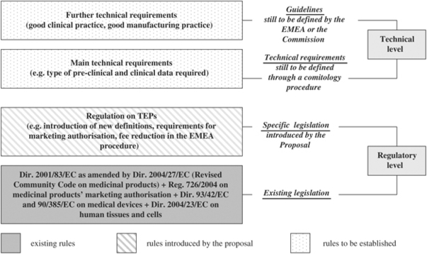 ATMP in practice: Towards a new industry landscape in tissue ...