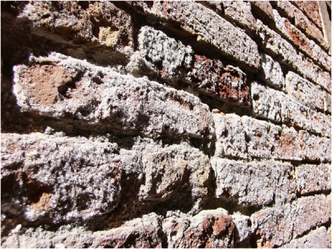 Salt-related problems in brick masonry and electrokinetic removal of ...