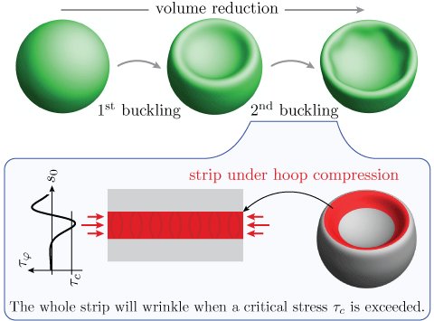 The secondary buckling transition: Wrinkling of buckled spherical ...