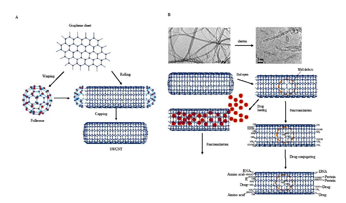 The application of carbon nanotubes in target drug delivery systems for ...