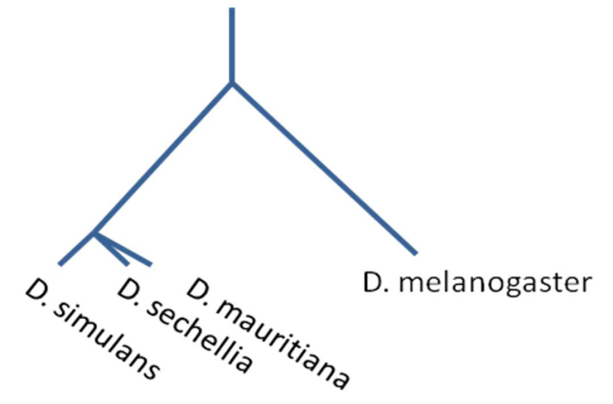 Polytomy identification in microbial phylogenetic reconstruction ...