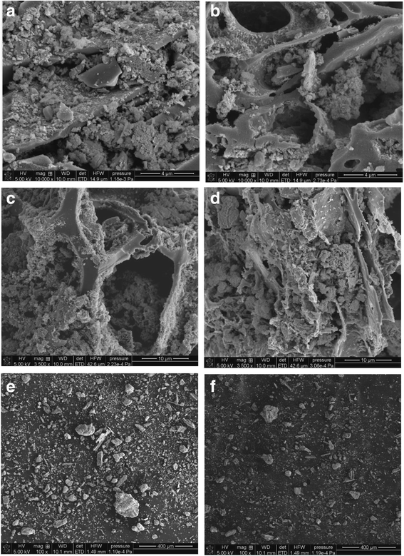 Investigations of Heavy Metal Ion Sorption Using Nanocomposites of Iron ...